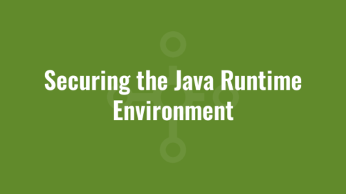 Securing the Java Runtime Environment | Alkane